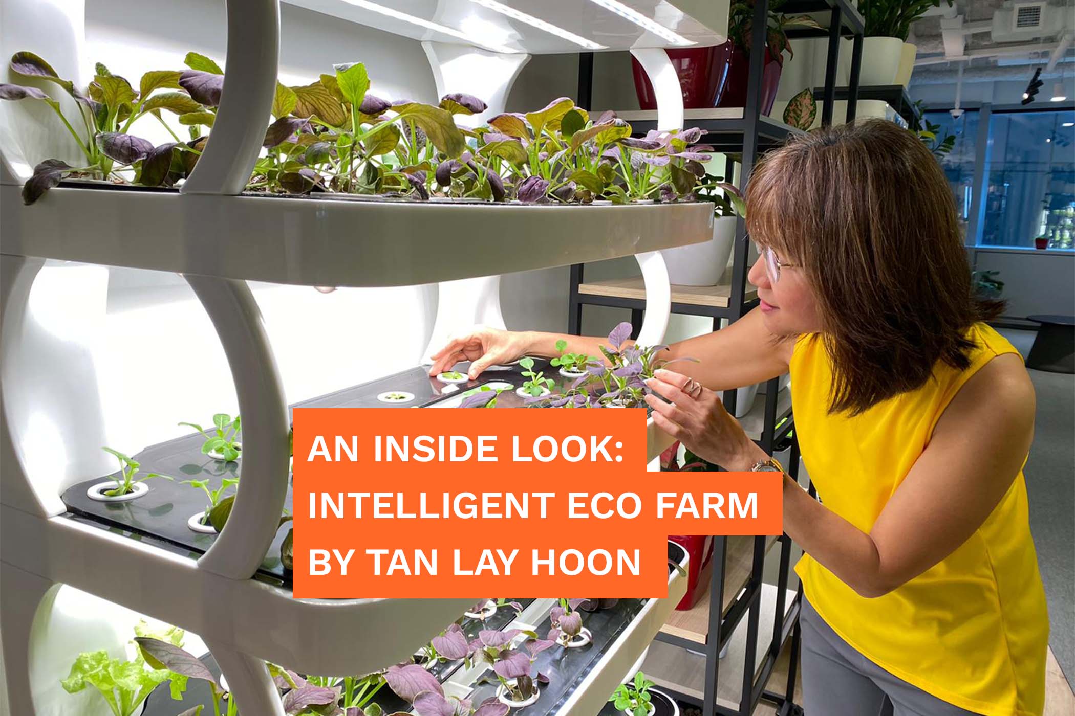 An Inside Look: Intelligent Eco Farm by Tan Lay Hoon